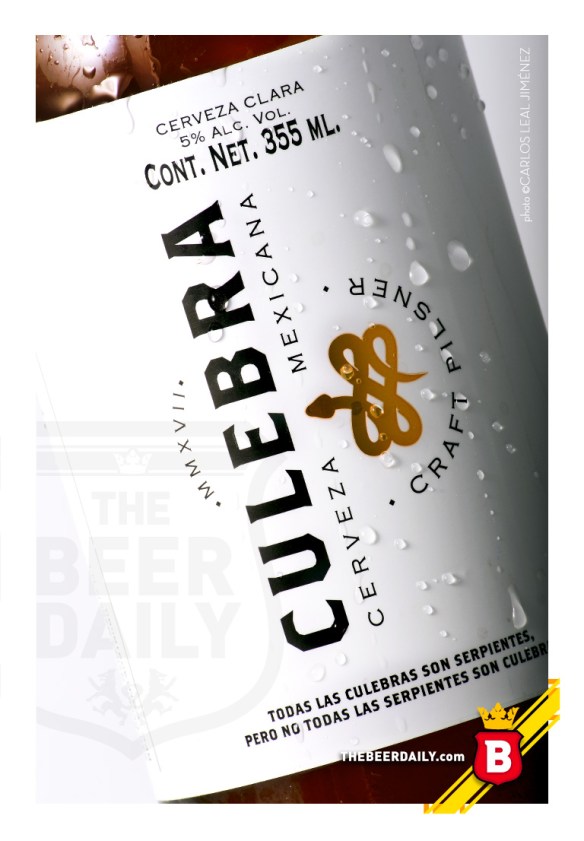 January | 2019 | The Beer Daily